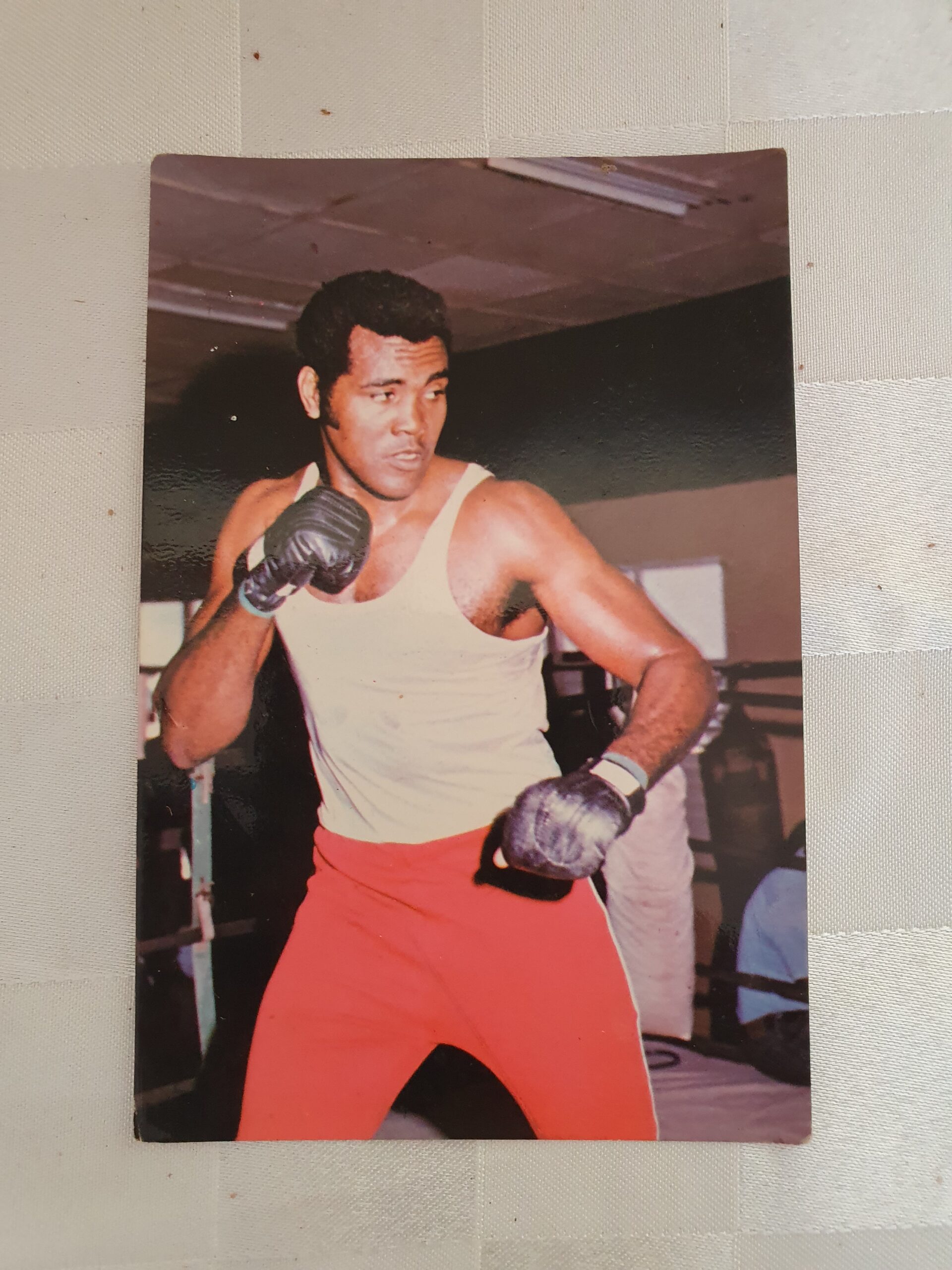 Dedican a Teófilo Stevenson muestra bimensual betancourense (+audios ...