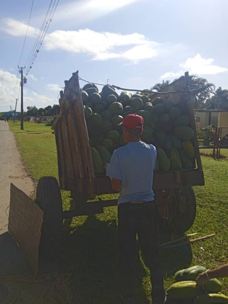 Al ritmo del Sol y la Fruta Bomba – Radio 26 – Matanzas, Cuba